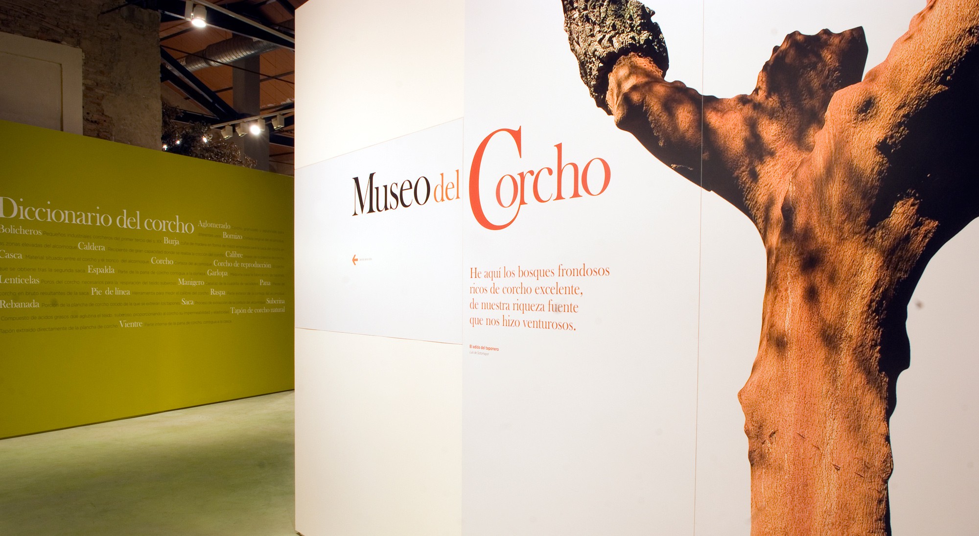 Identity Cork Museum - Discovering the Corklands